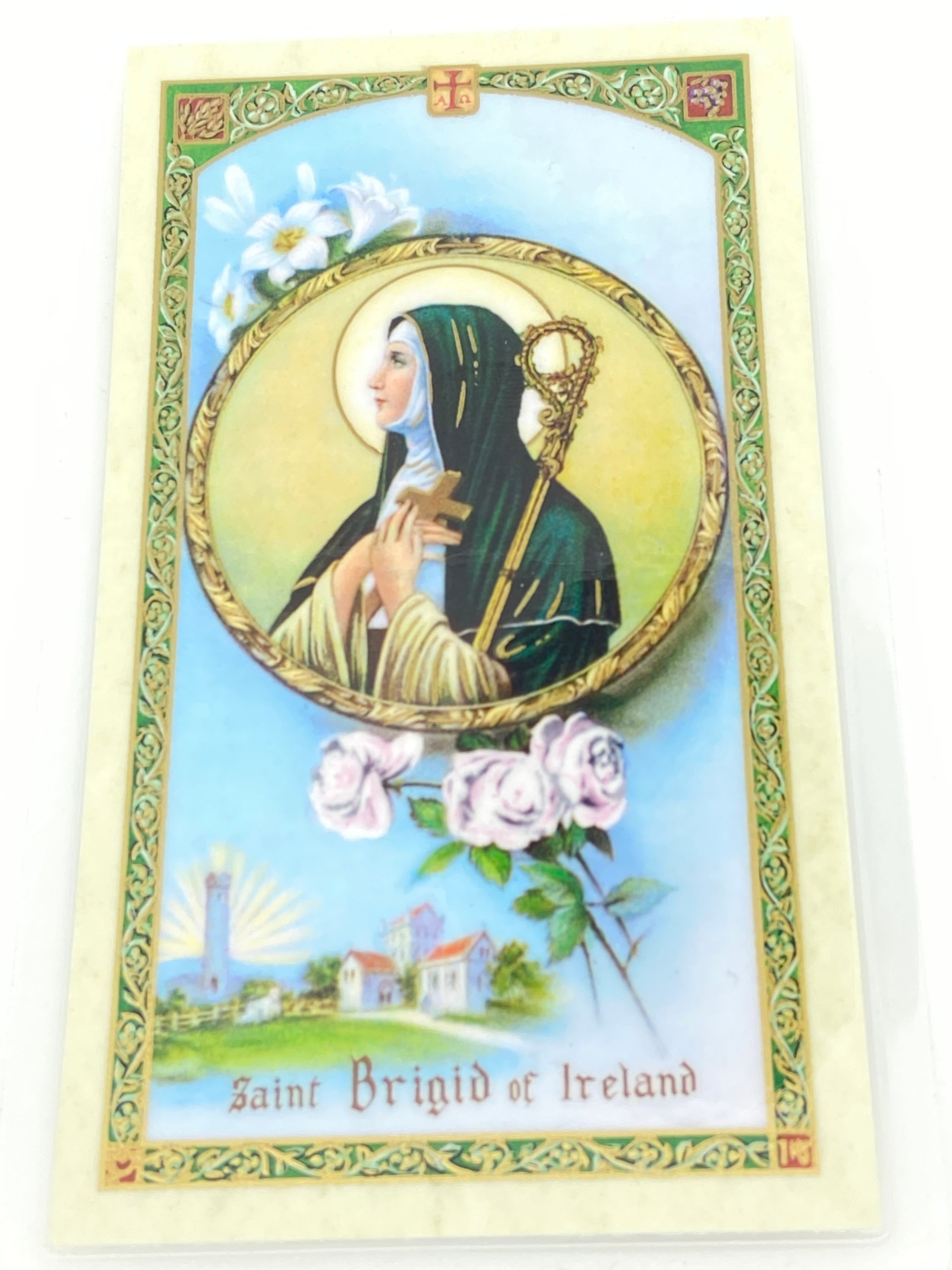 St. Bridgid of Ireland Laminated Holy Card (Plastic Covered) – JMJs ...